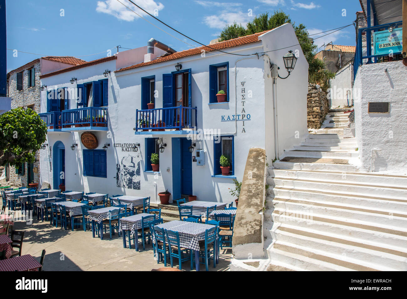 Alonnisos greece dolphin hi-res stock photography and images - Alamy