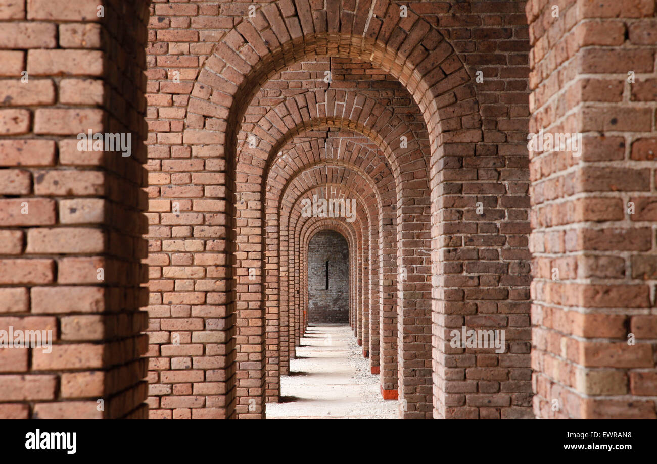 Tortugas hi-res stock photography and images - Alamy