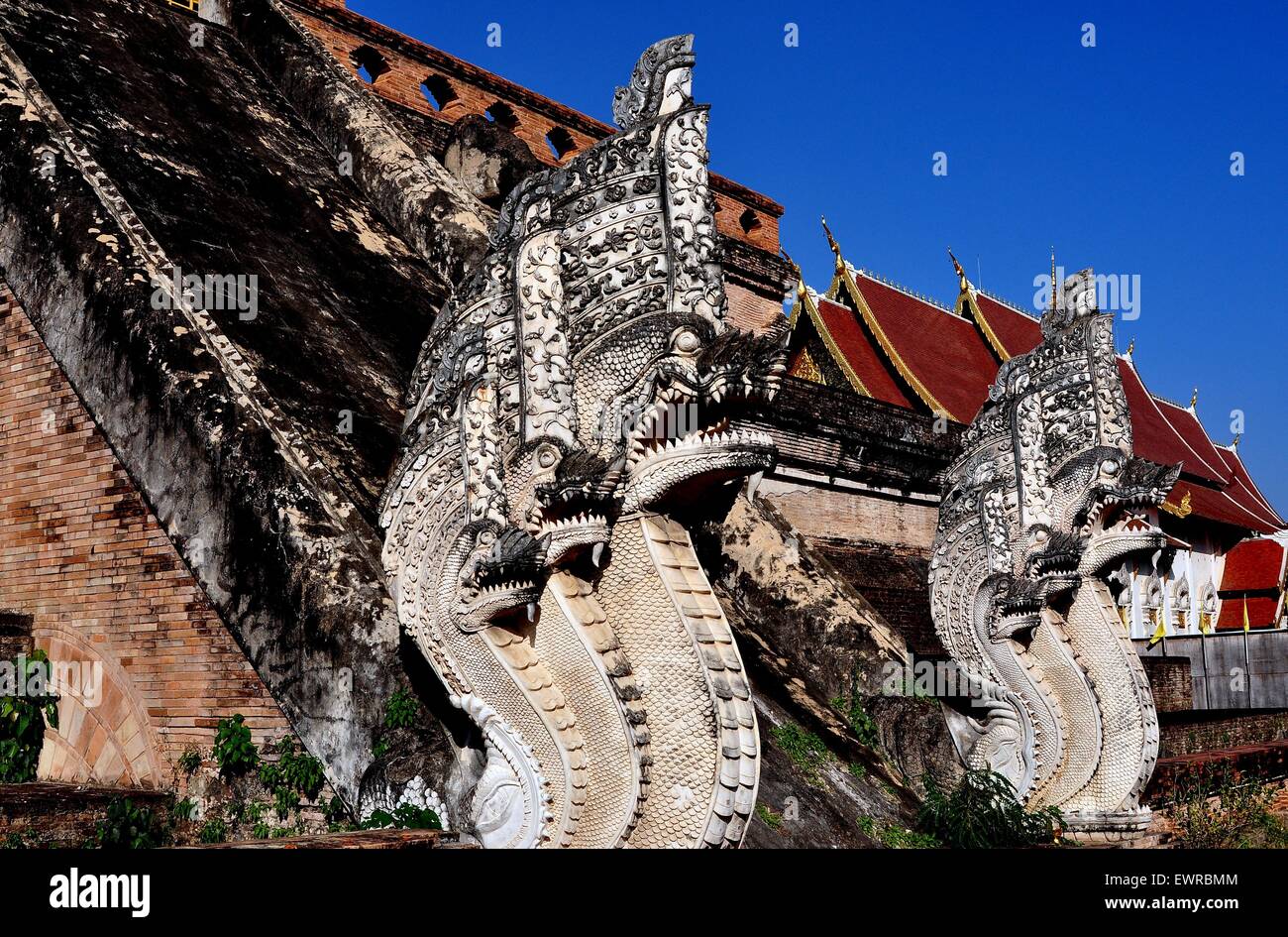 Mythical dragons hi-res stock photography and images - Alamy