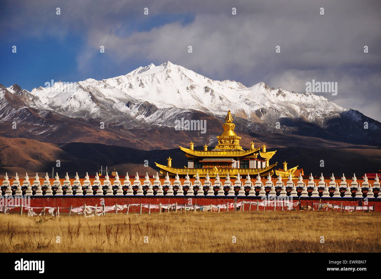Muya Golden Tower in Tagong, China Stock Photo - Alamy