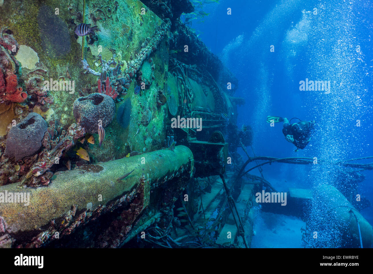 Diver circumvents the exterior of the Aquarius Habitat at Conch reef ...