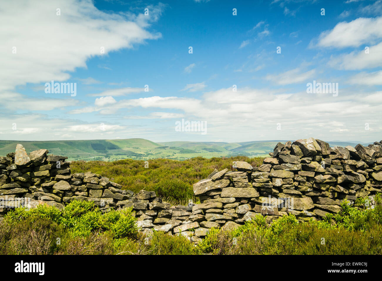Longridge, Lancashire, UK. 30th June, 2015. UK Weather: With ...