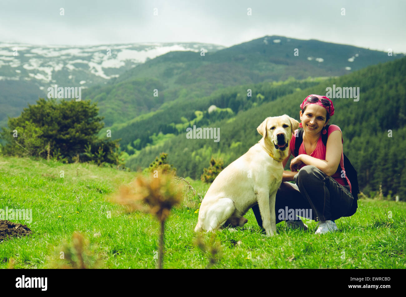 Labrador in mountain hi-res stock photography and images - Alamy