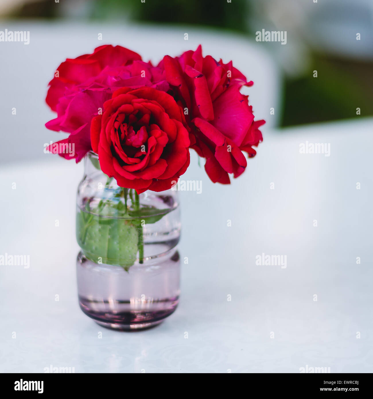 Red roses vase hi-res stock photography and images - Alamy