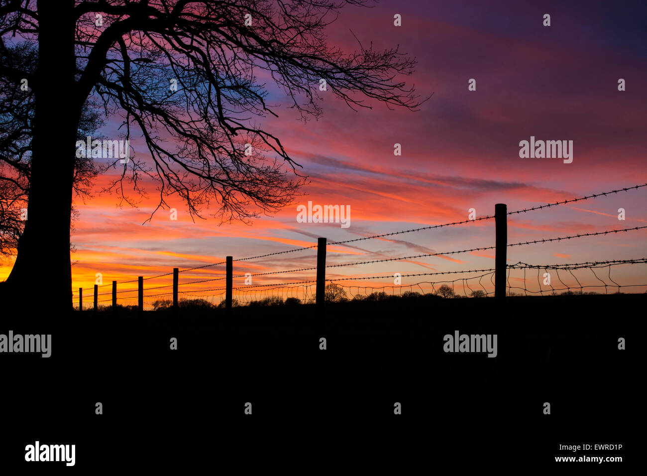 Beautiful sunset across a field with silhouette of a tree and fence ...