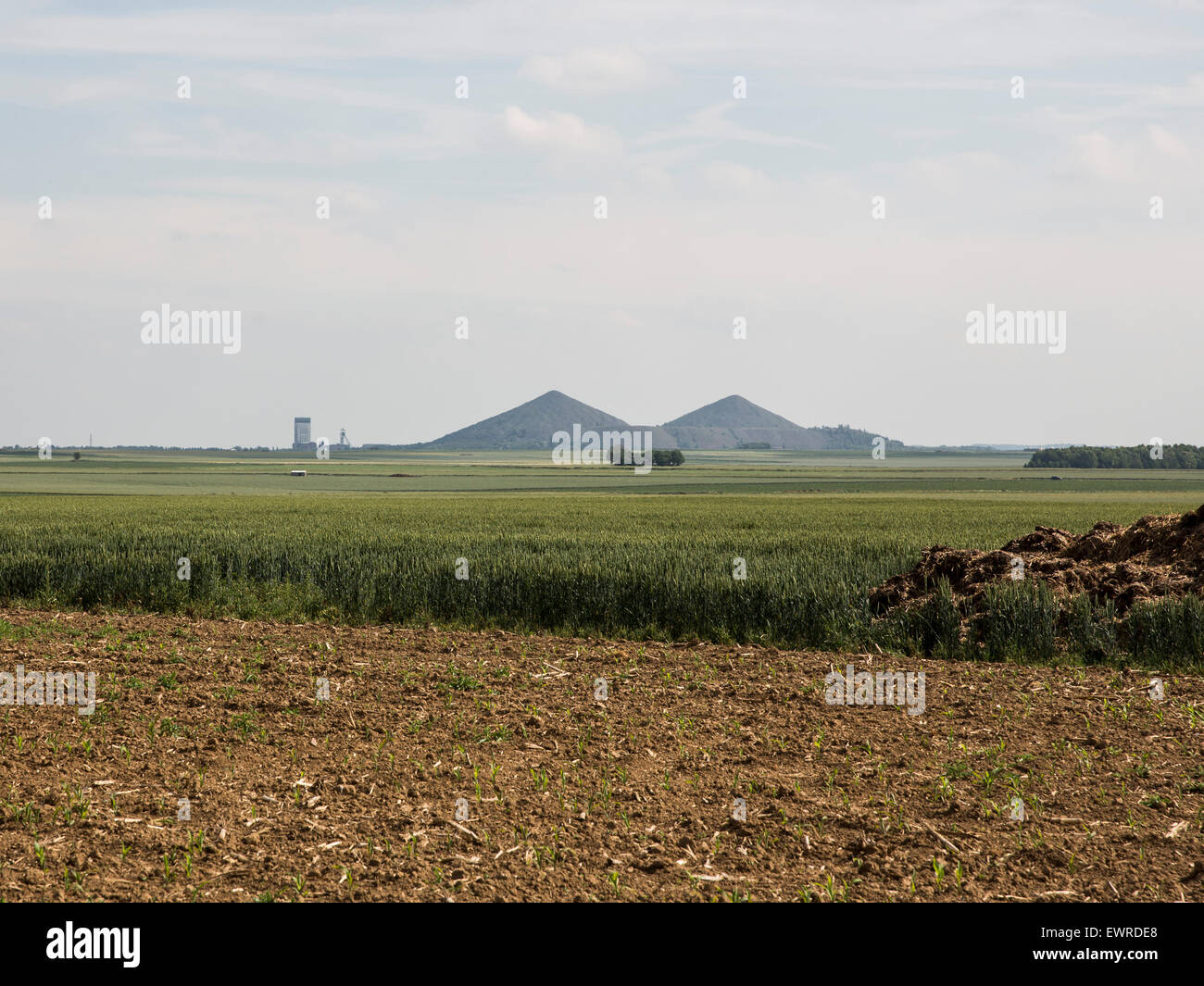The remains of the "Double Crassier" of the 1915 battle of Loos seen ...