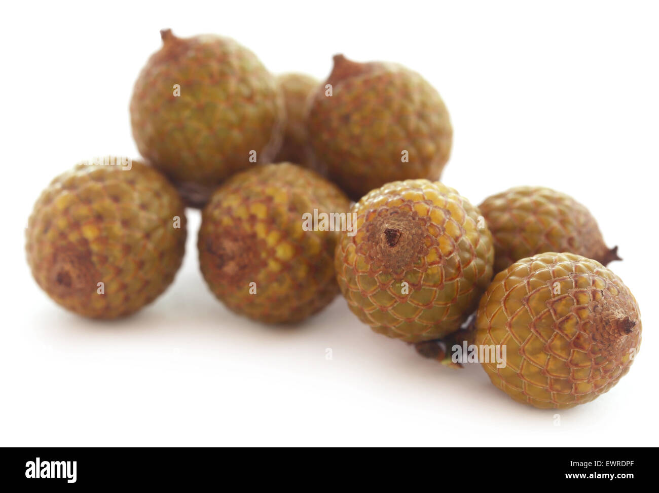 Tropical Calamus palm fruits over white background Stock Photo - Alamy