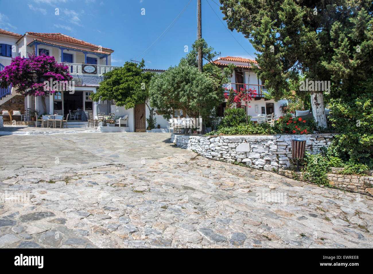 Alonnisos greece dolphin hi-res stock photography and images - Alamy