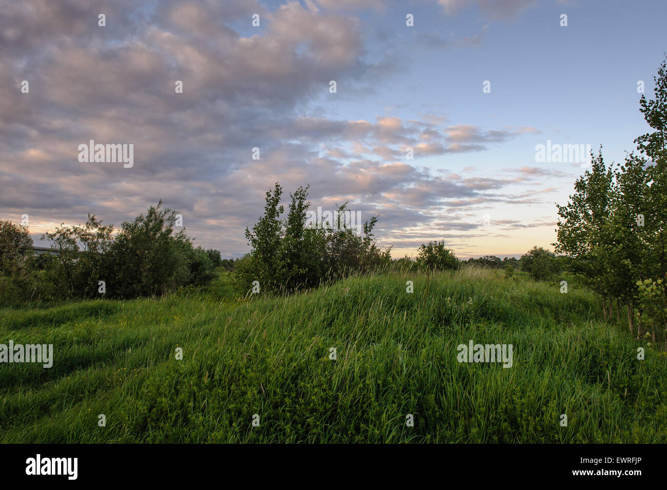 Stormy landscape view before the rain Stock Photo - Alamy