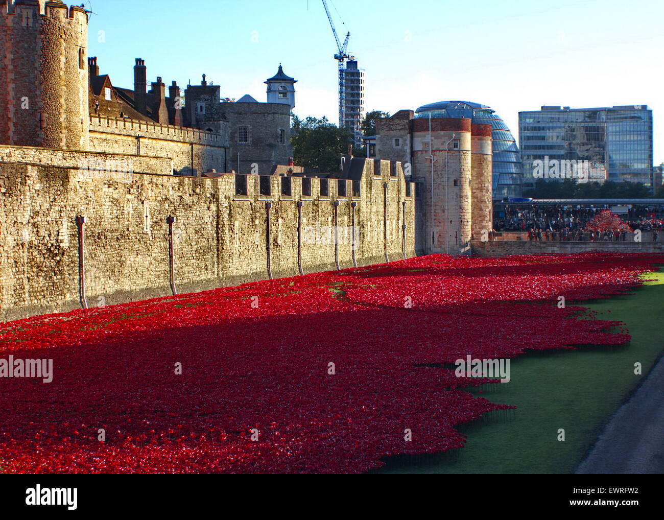 Tower Bridge Ceramic Poppies Stock Photo - Alamy
