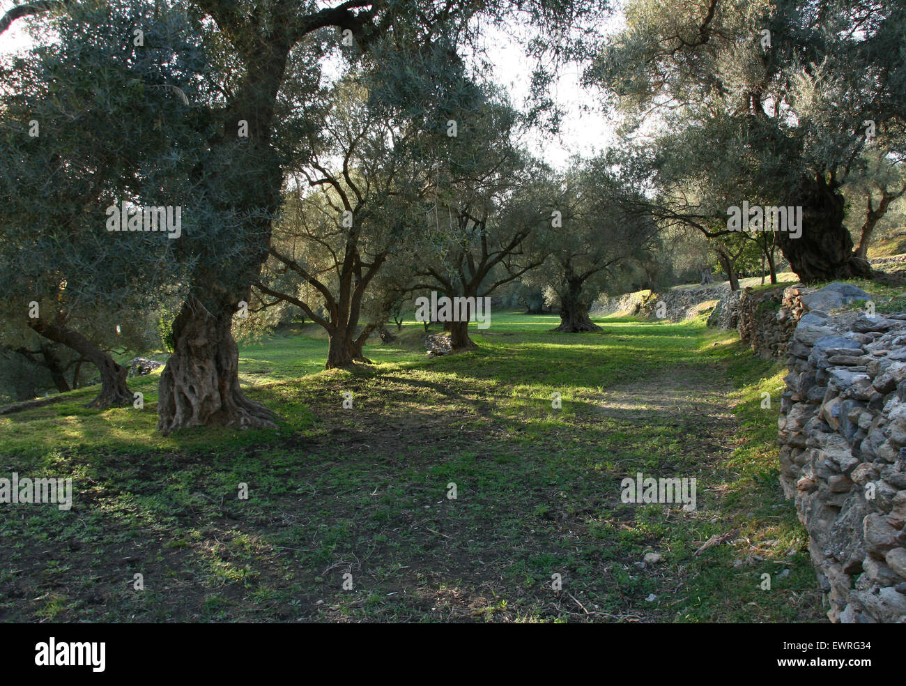 Grove terrace hi-res stock photography and images - Alamy