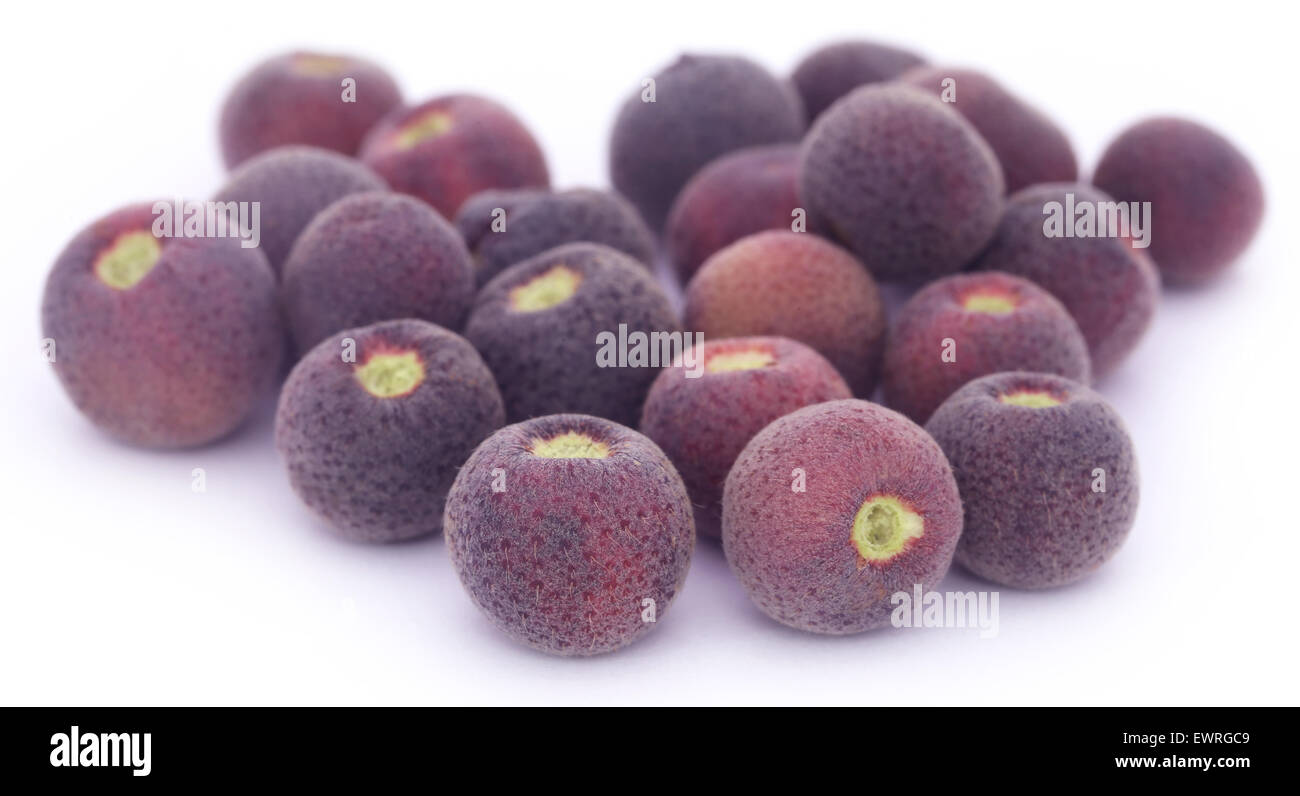 Grewia asiatica or Falsa fruits of Southeast Asia over white background ...