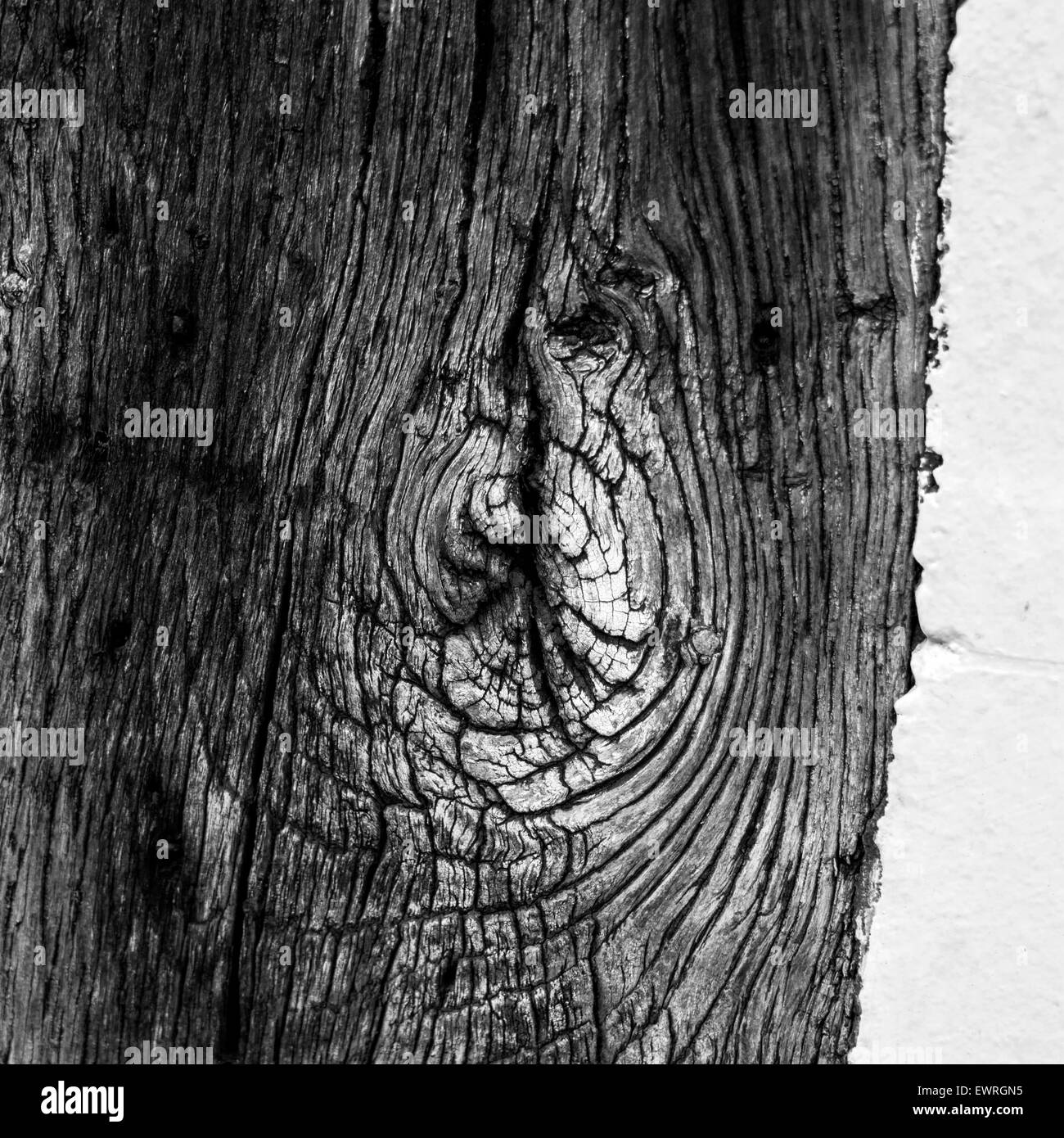 Timber knot hi-res stock photography and images - Alamy