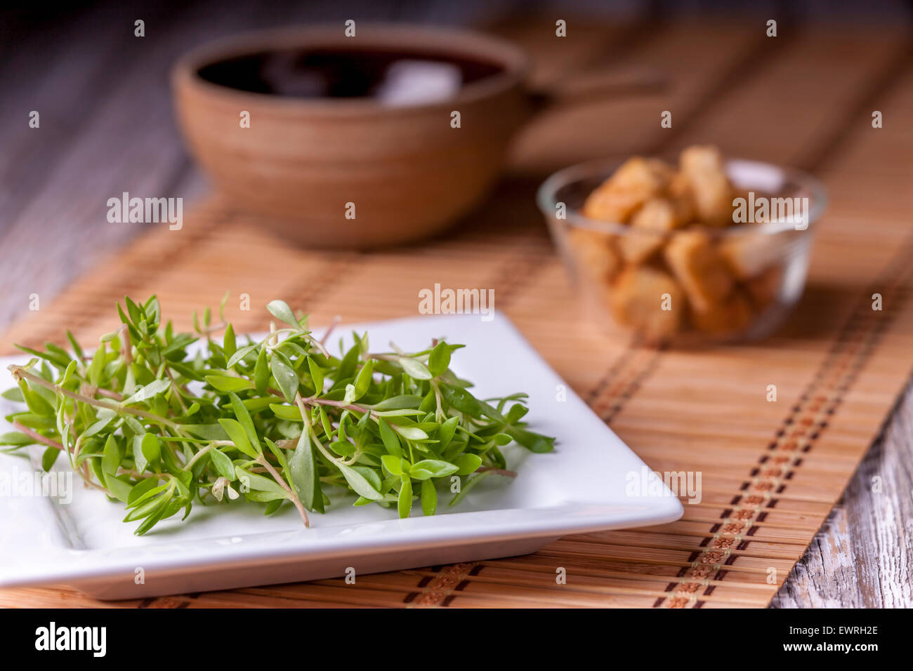 Edible Sedum plant Stock Photo - Alamy