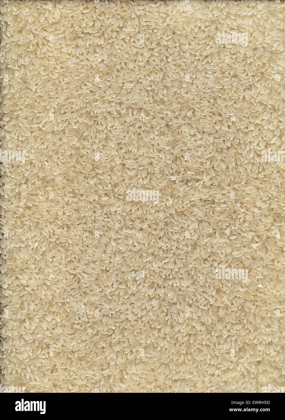 Close up background of rice Stock Photo - Alamy