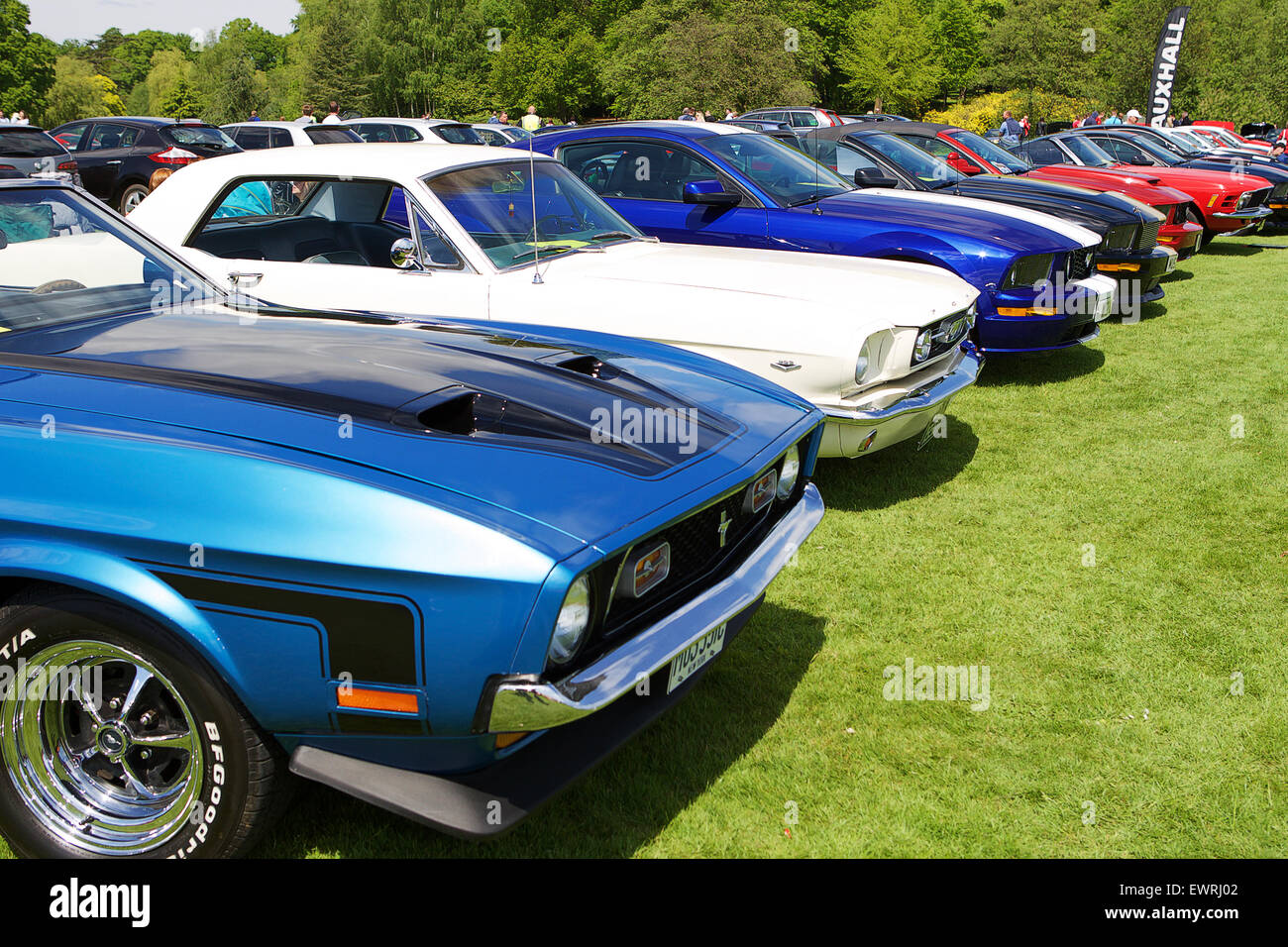 Ford mustang symbol hi-res stock photography and images - Alamy