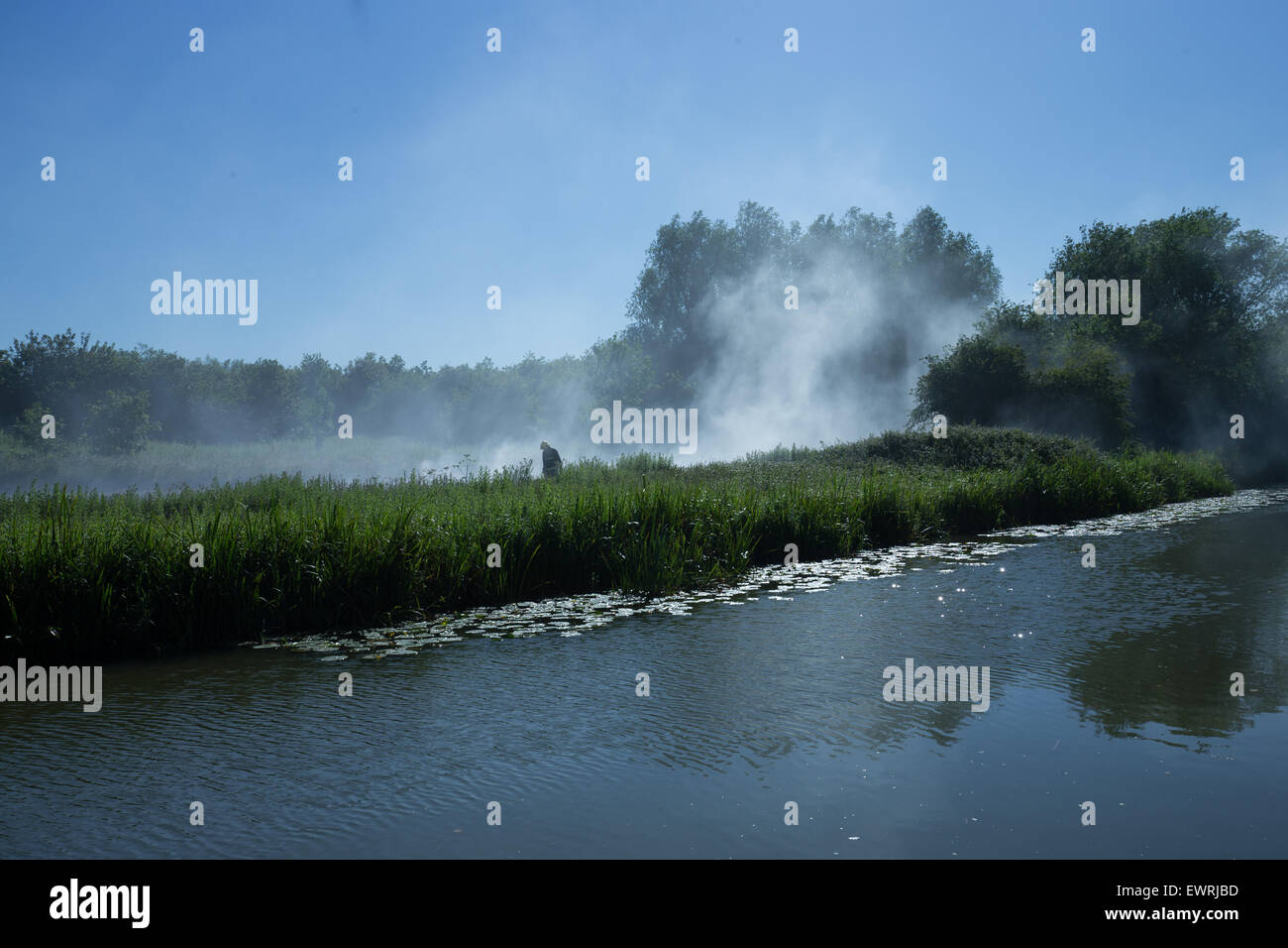 Milton Keynes, UK. 30th June 2015. The hot weather aids the rapid ...
