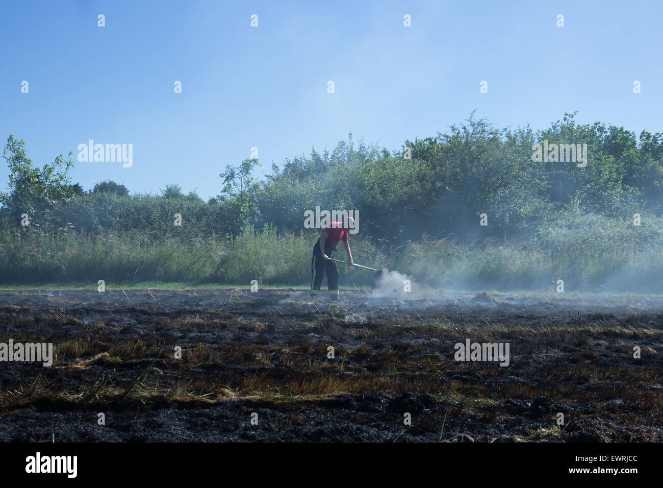 Milton Keynes, UK. 30th June 2015. The hot weather aids the rapid ...
