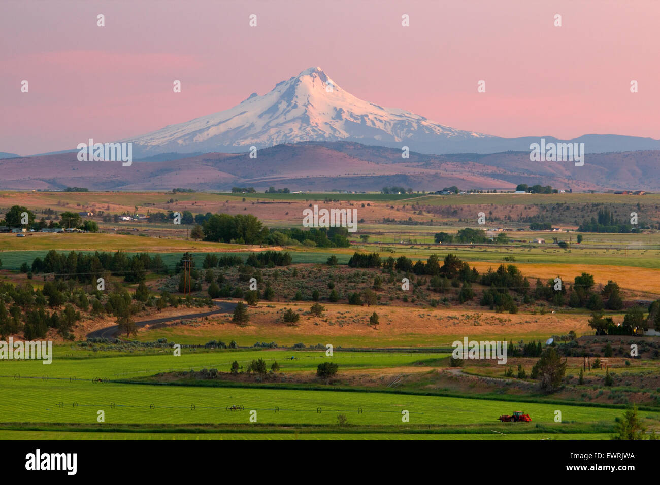 View of Mt. Hood from Madras, Oregon USA Stock Photo - Alamy