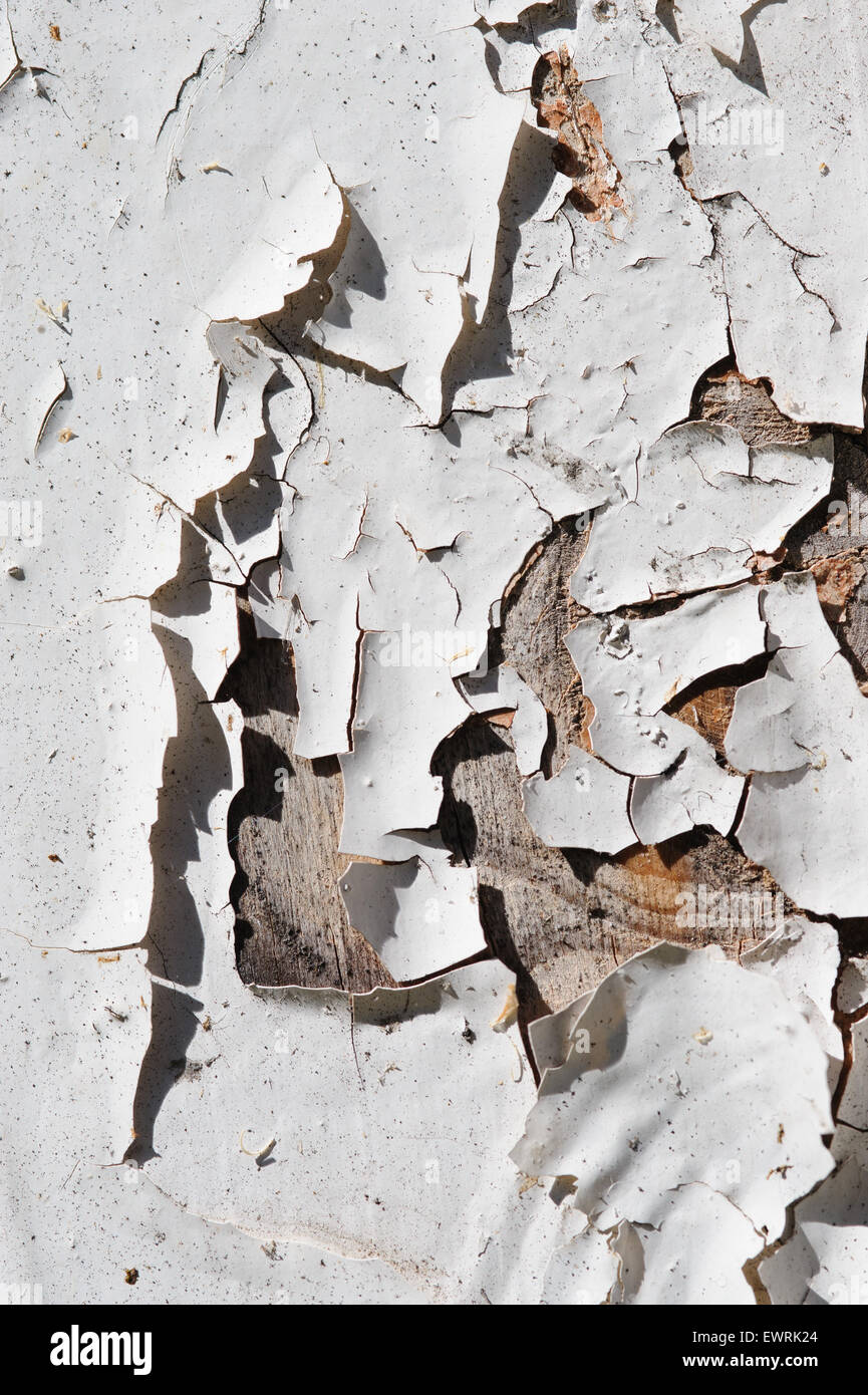 Cracked white background close up Stock Photo - Alamy