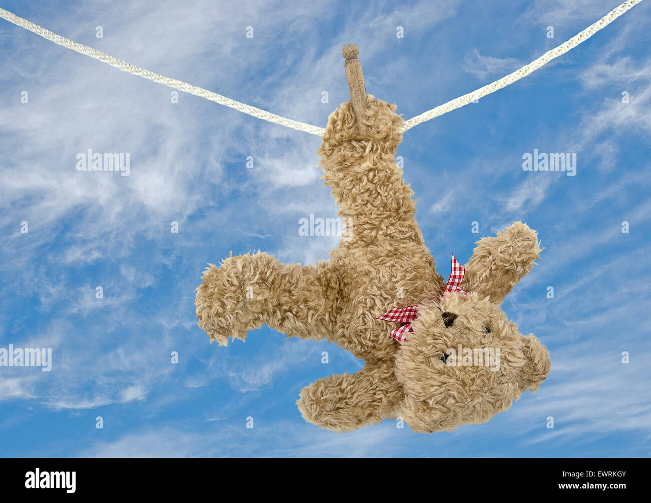 Hanging Teddy Bear High Resolution Stock Photography and Images - Alamy