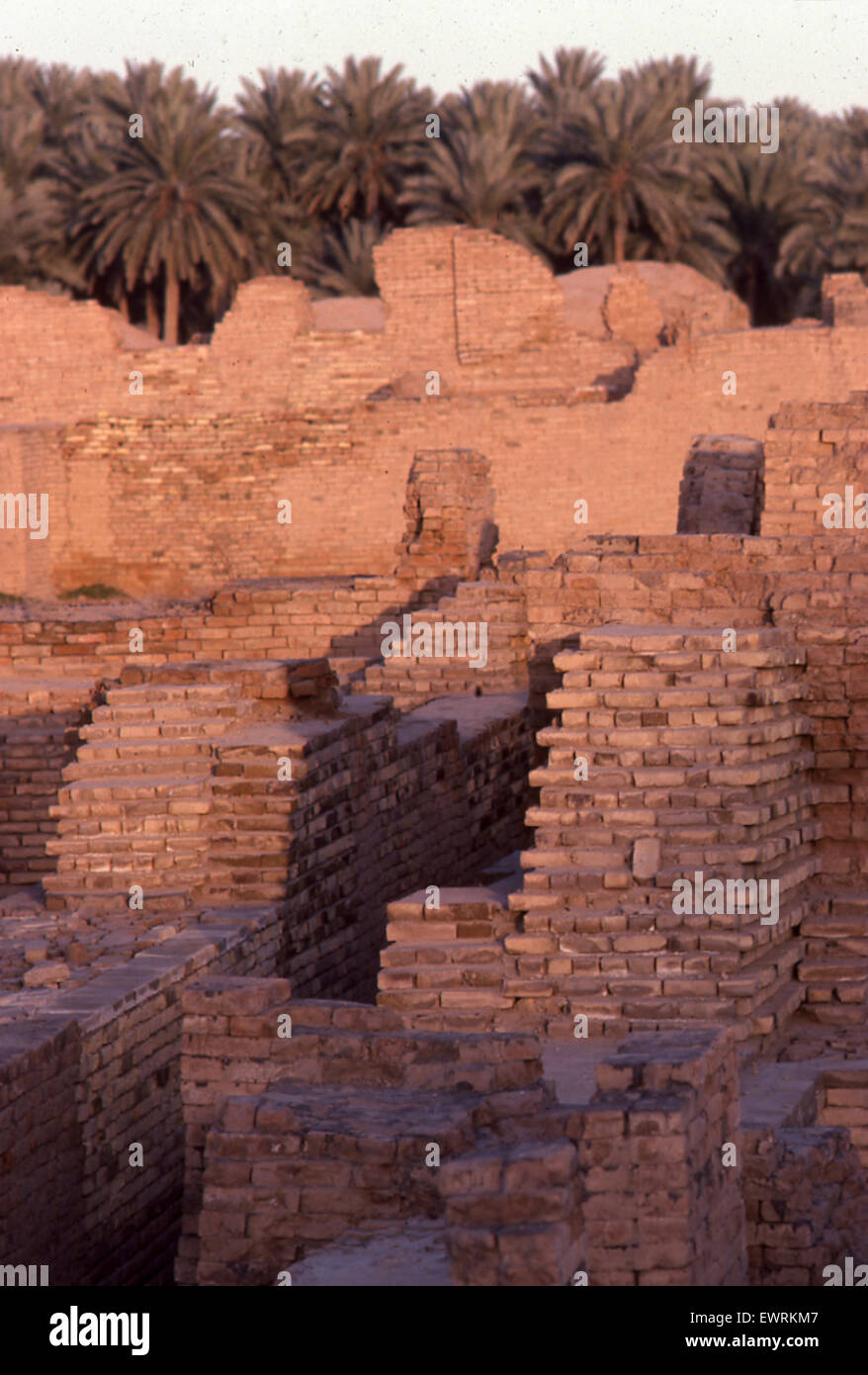 Ancient Babylon Ruins