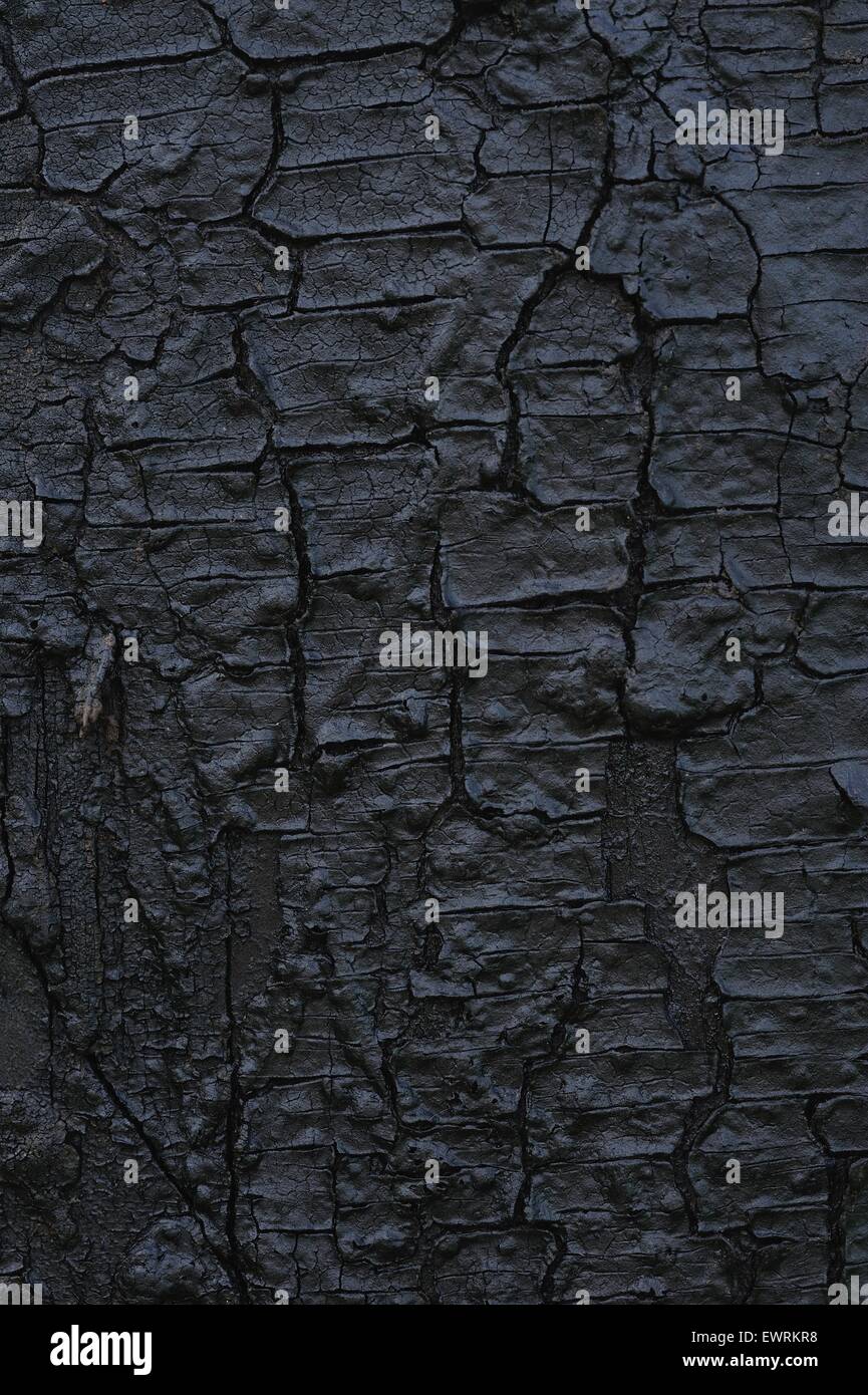 Texture black resin hi-res stock photography and images - Alamy