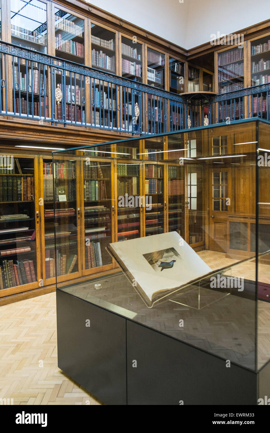 Oak Room at Award winning Central Library,Liverpool Stock Photo - Alamy