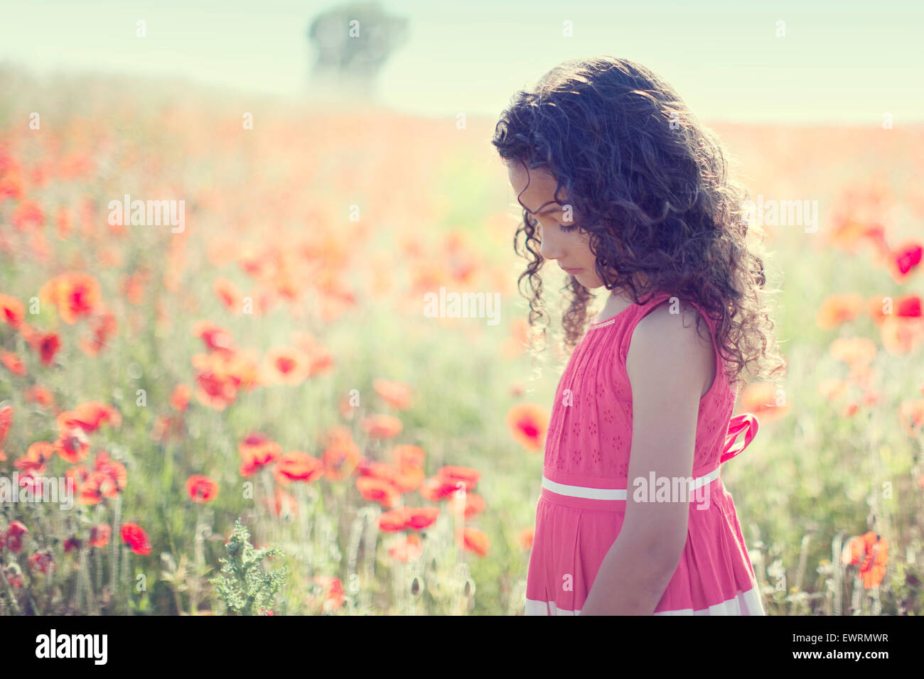 Girl In Poppy Field Stock Photo - Alamy