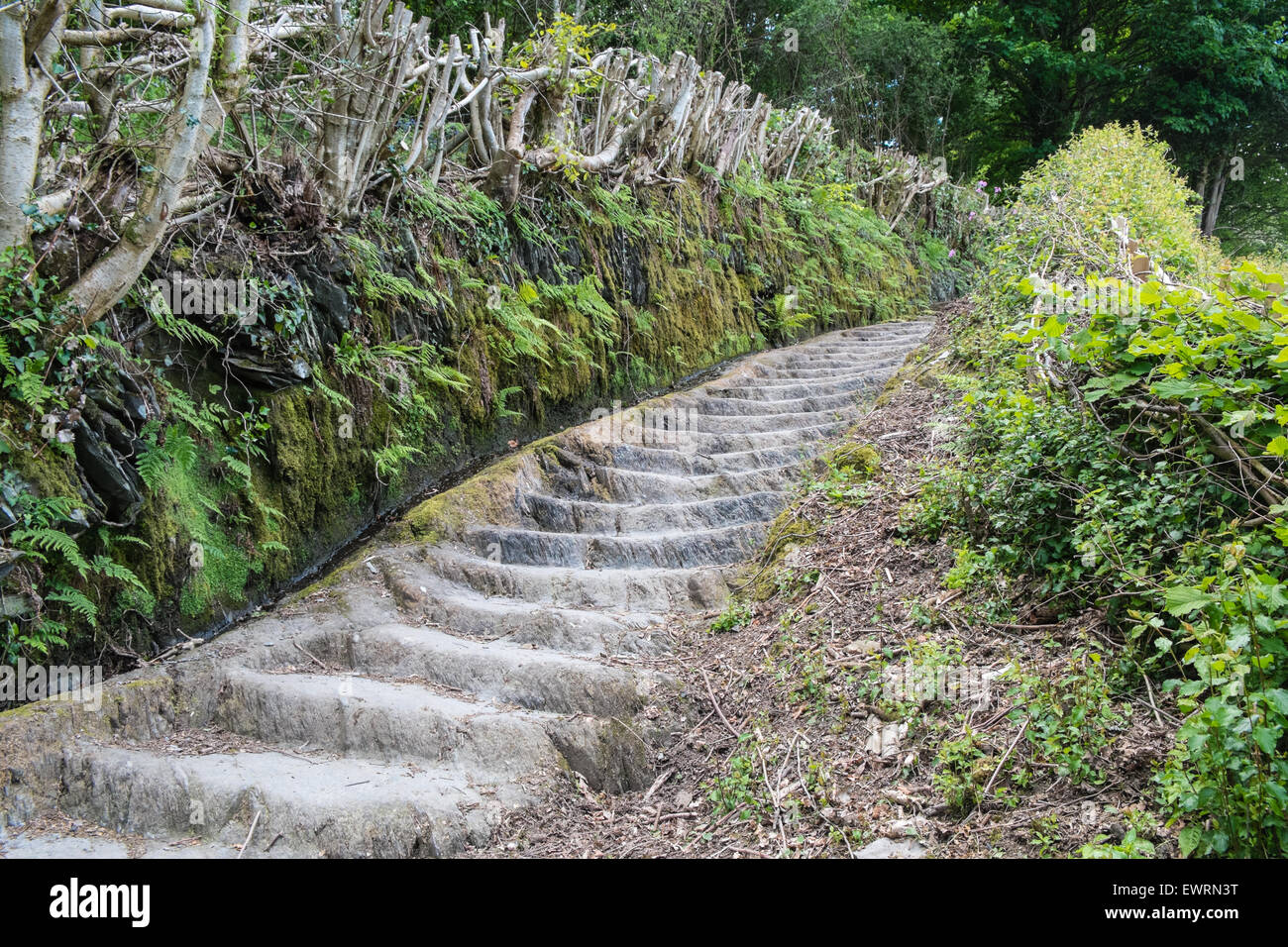 Roman steps wales hi-res stock photography and images - Alamy
