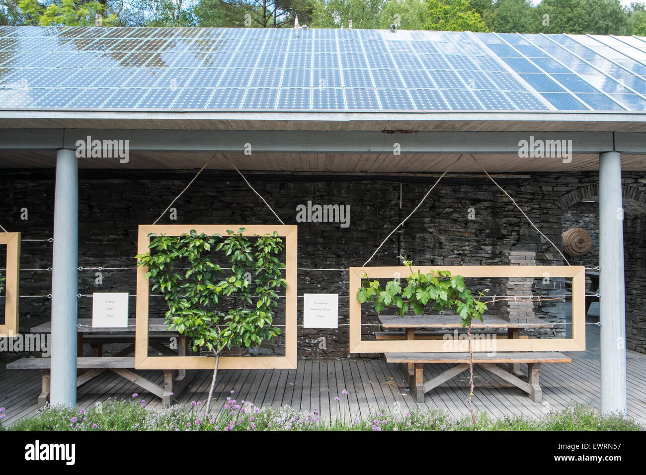 At solar panel roof restaurant at CAT ,Machynlleth,Powys,Wales,U.K ...