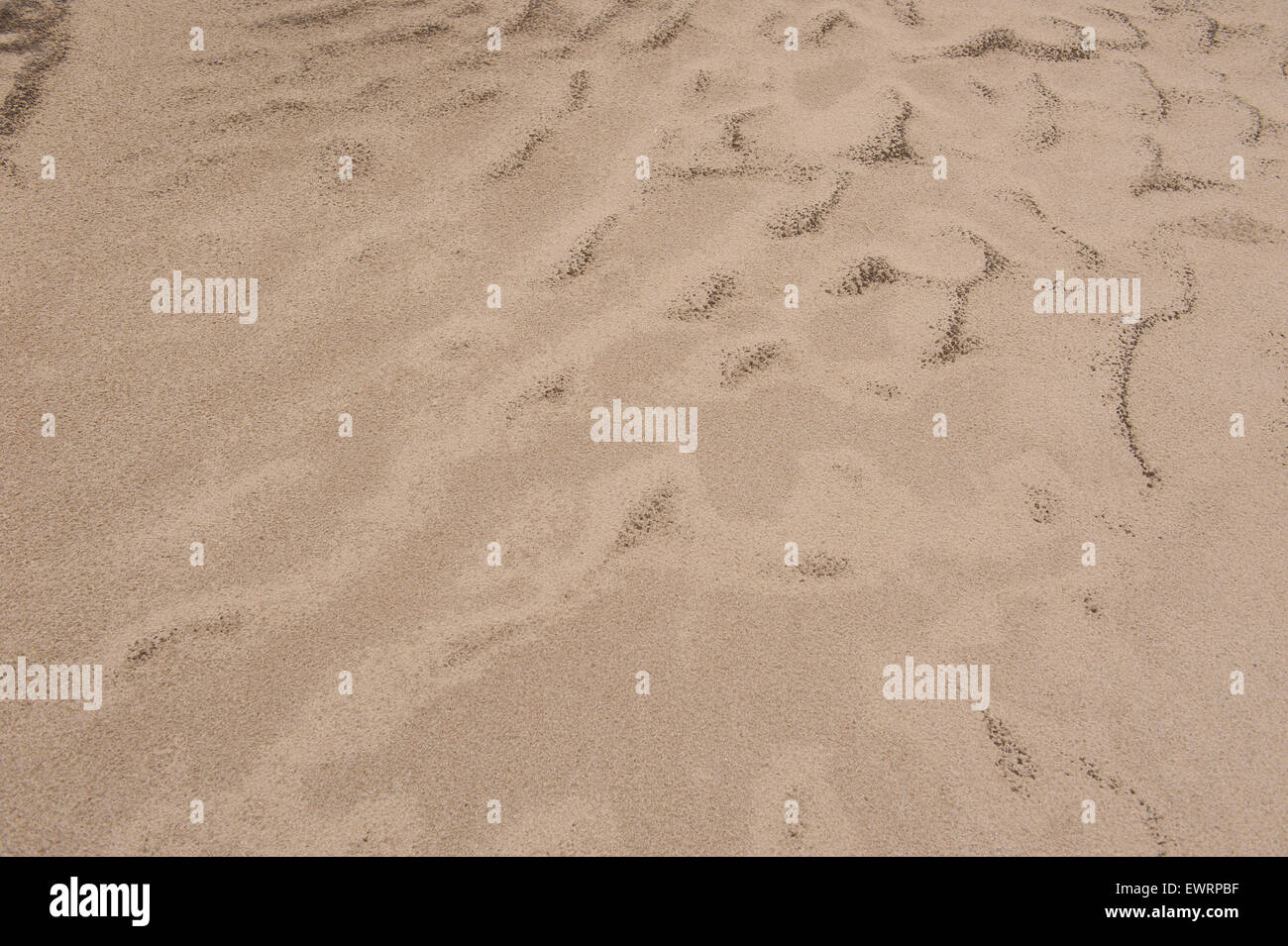 River sand texture hi-res stock photography and images - Alamy