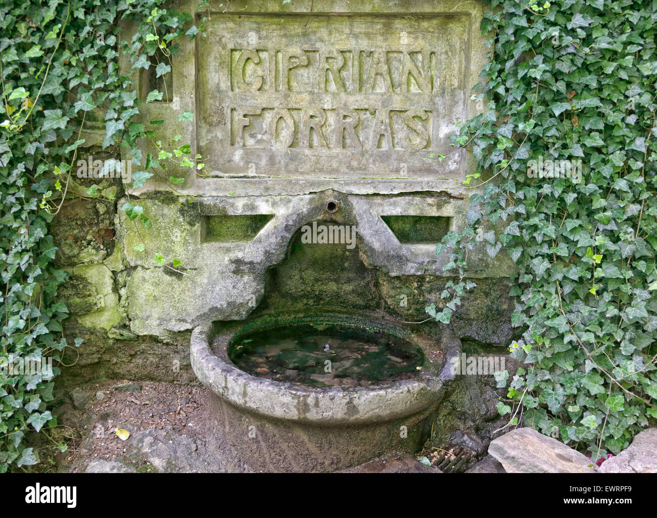 Ciprian hi-res stock photography and images - Alamy