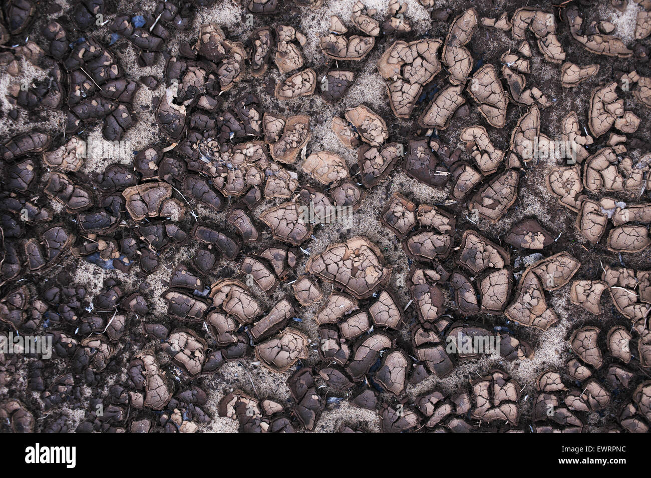 Drought sand hi-res stock photography and images - Alamy