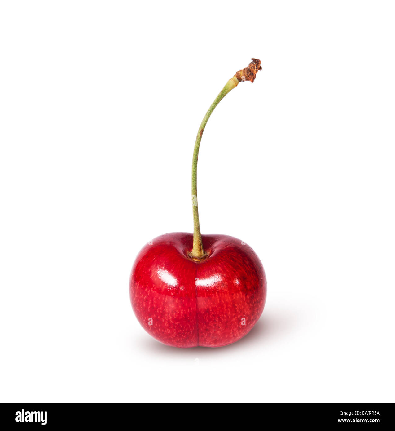 Single red juicy sweet cherries isolated on white background Stock ...