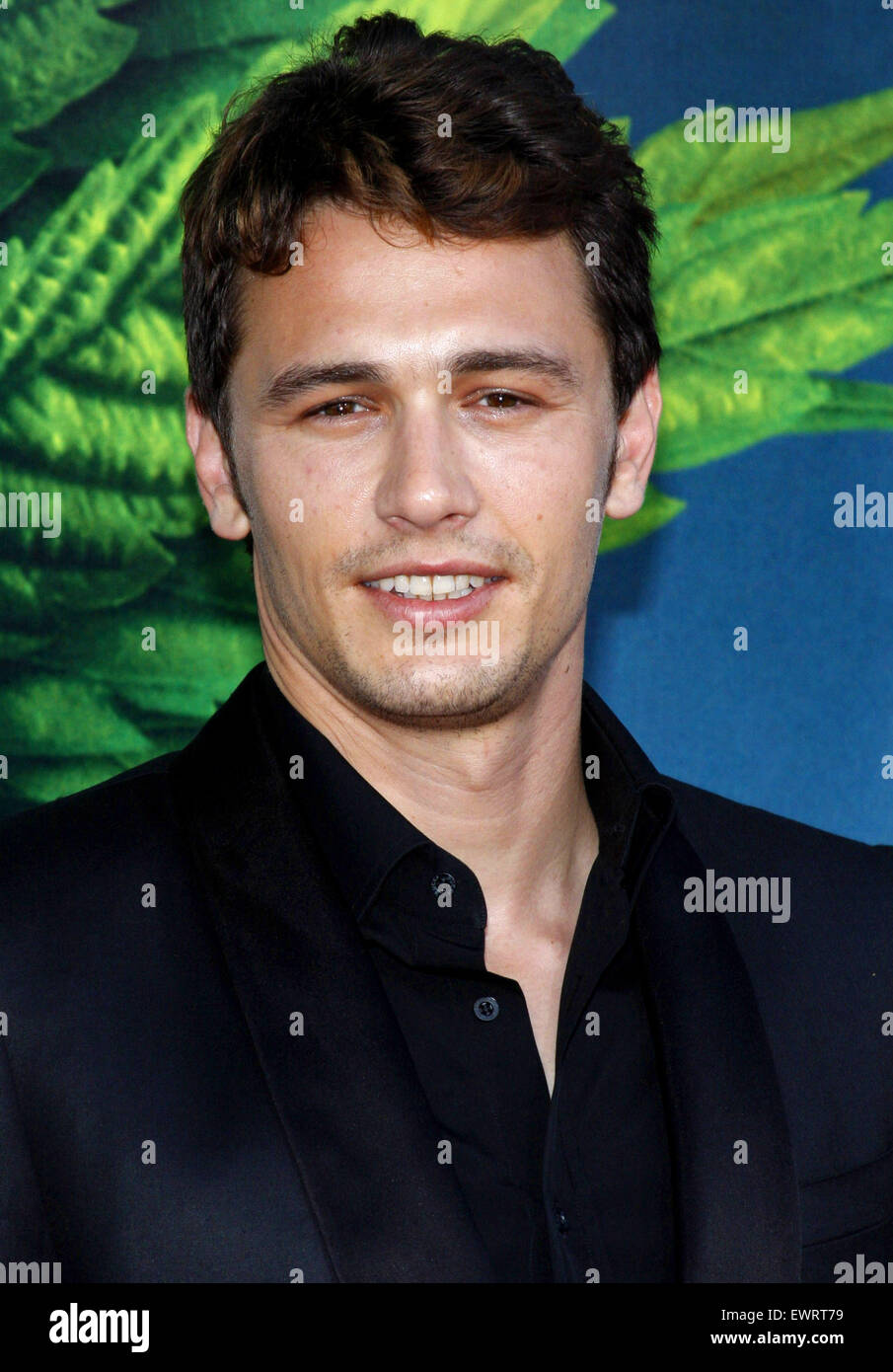 James Franco at the Los Angeles premiere of 'Pineapple Express' held at ...