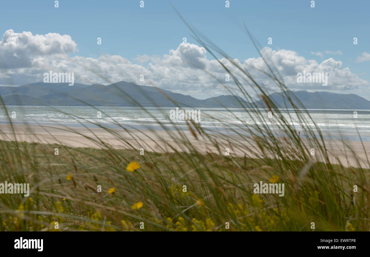 Ireland beach view of ocean coastline with distant mountains seen ...