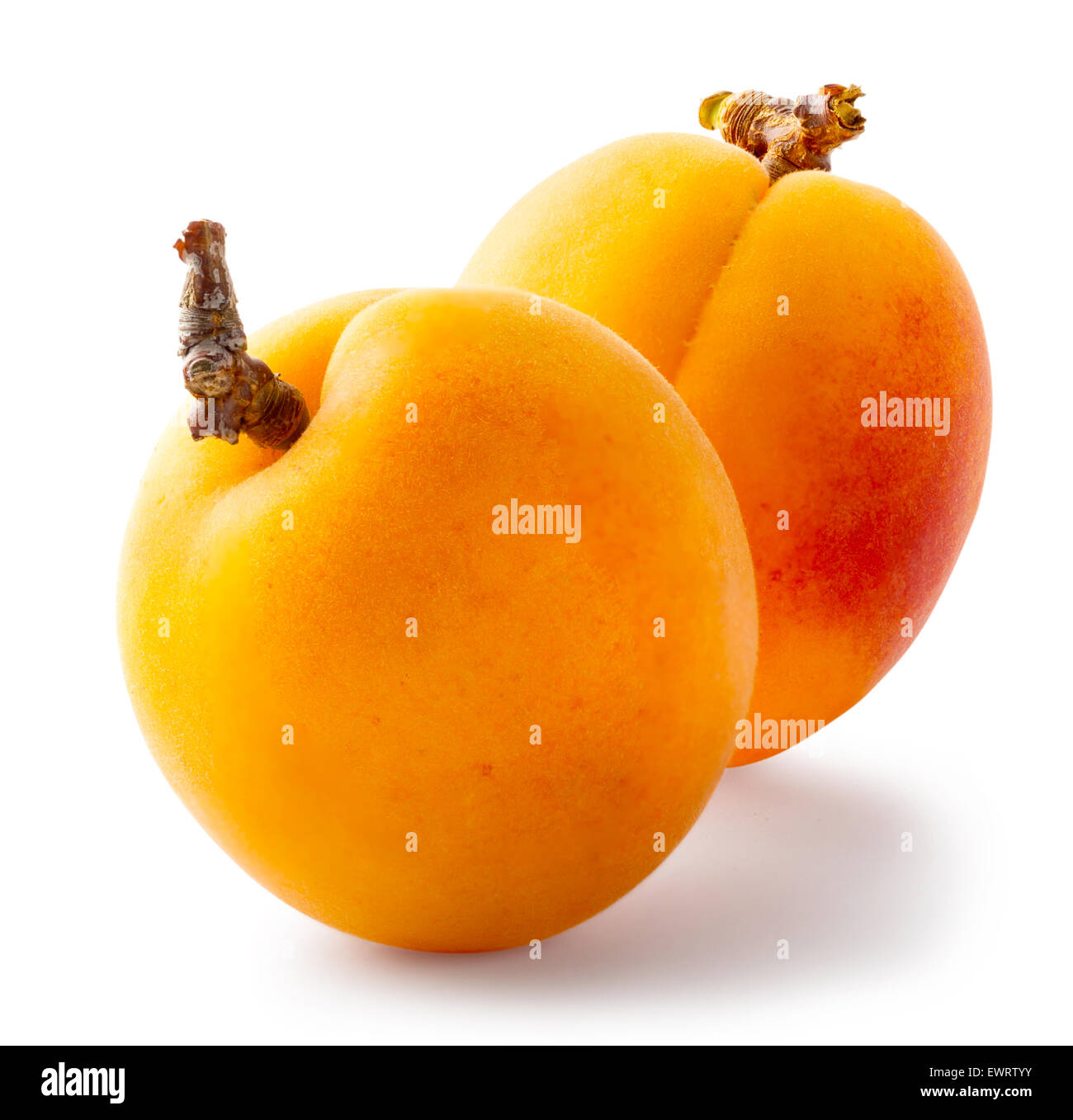 Two ripe apricots isolated on white background Stock Photo - Alamy