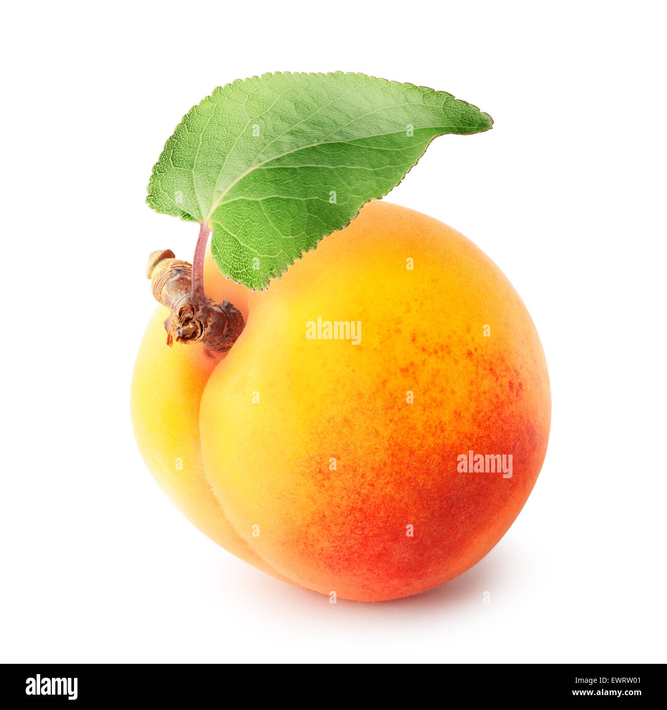 Yellow apricot with leaf isolated on white background Stock Photo - Alamy