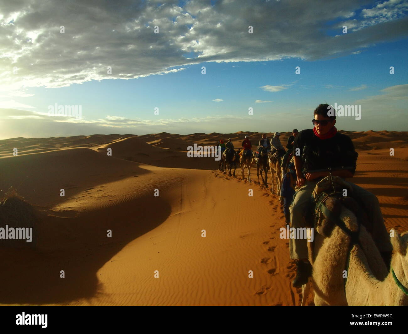 Camel Trek through the Sahara Desert Stock Photo - Alamy