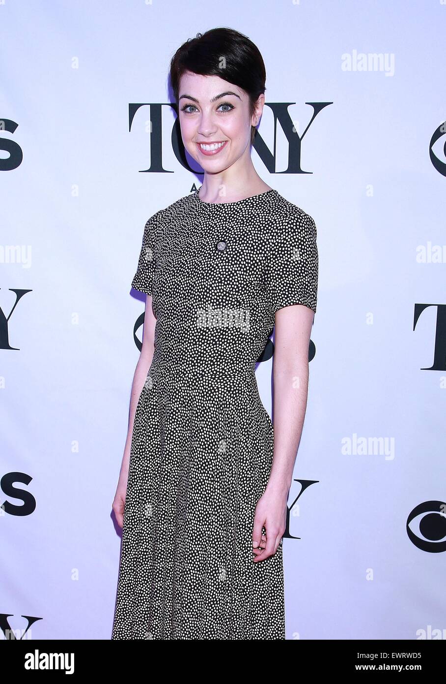 Meet the 2015 Tony Nominees reception held at the Paramount Hotel ...