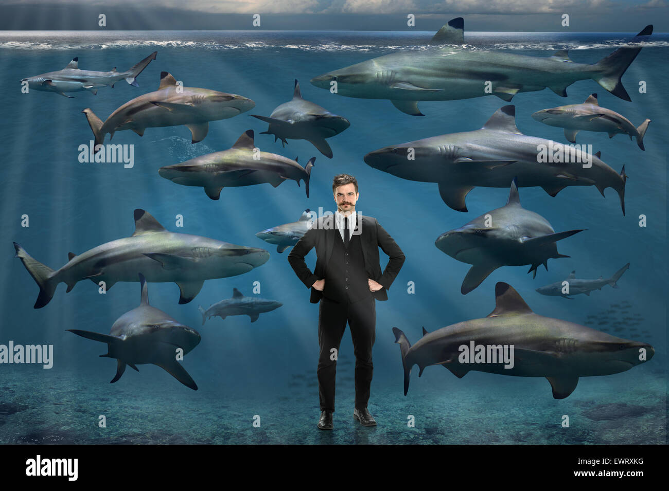 Confident young businessman surrounded by sharks underwater Stock Photo ...