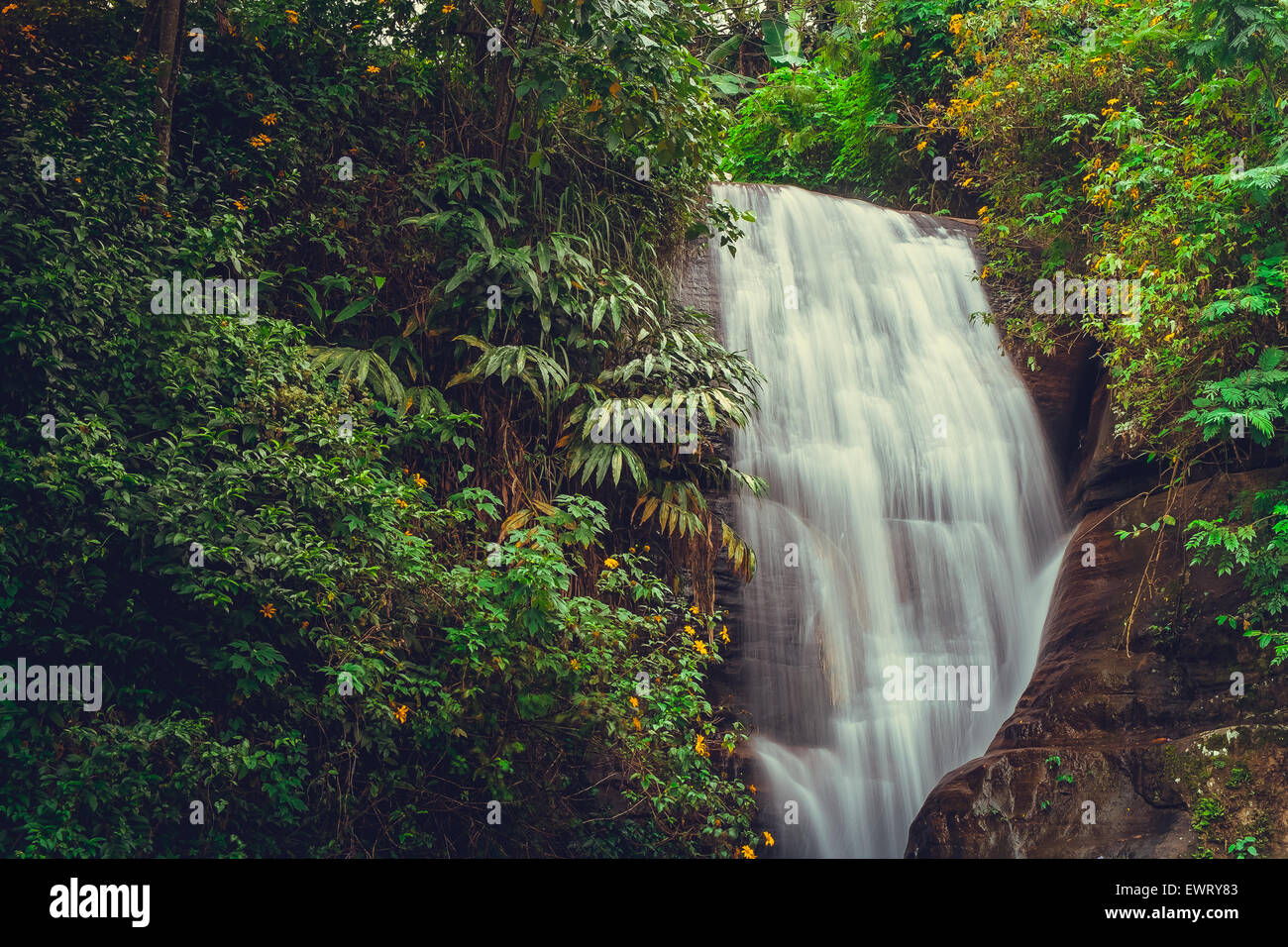 Waterfall on Sri Lanka,Horton Place Stock Photo - Alamy