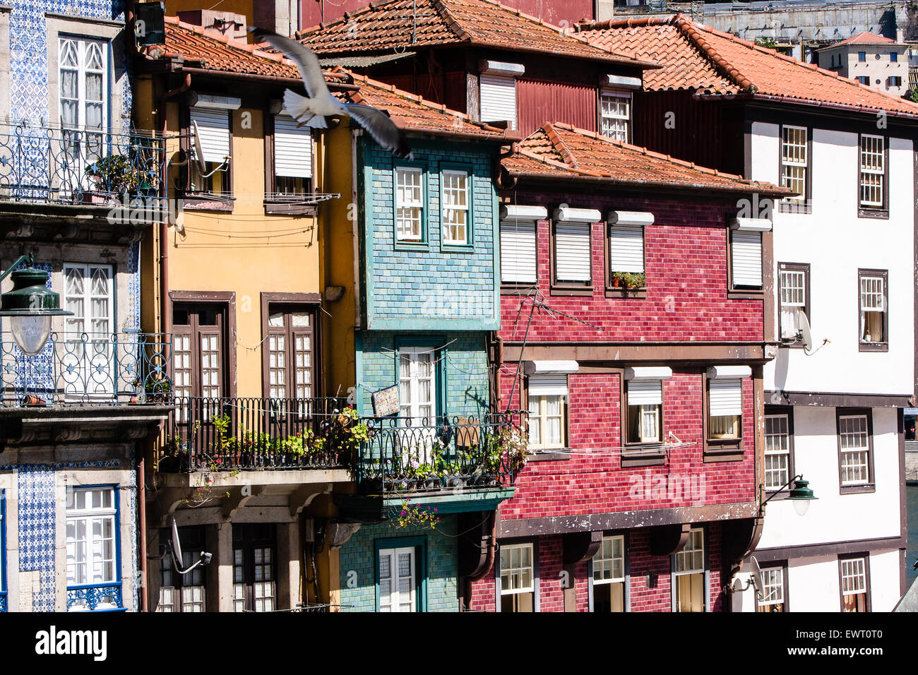 Tiles on houses in The Ribeira district, the medieval area on the north ...