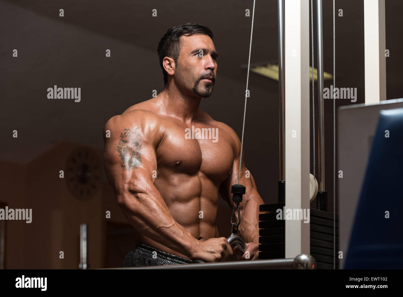 Mexican Bodybuilder Doing Heavy Weight Exercise For Triceps Stock Photo ...