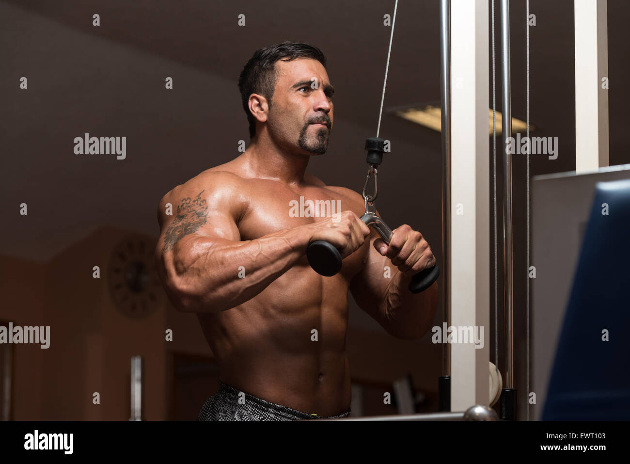 Mexican Bodybuilder Doing Heavy Weight Exercise For Triceps Stock Photo ...