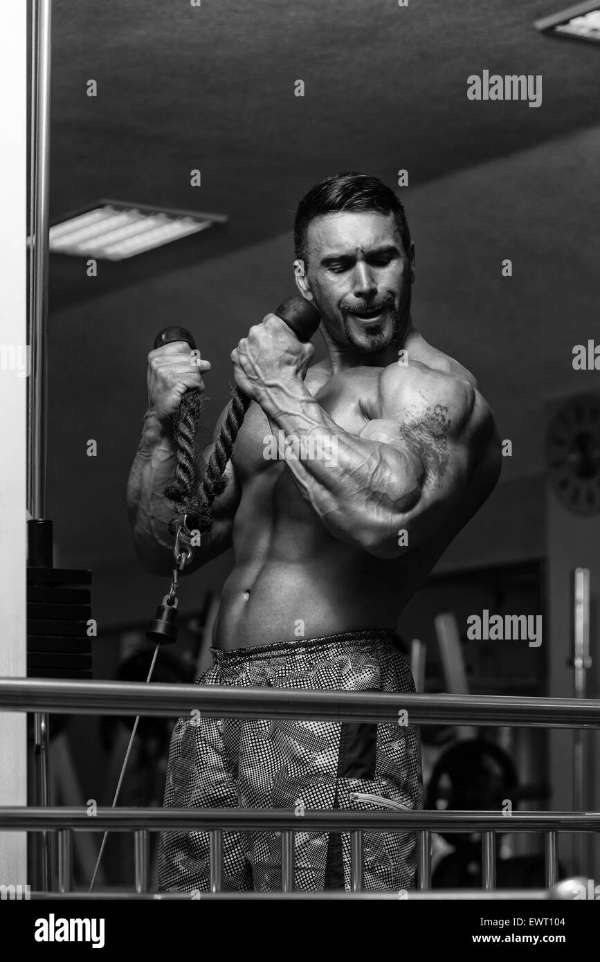 Mexican Bodybuilder Doing Heavy Weight Exercise For Biceps Stock Photo ...