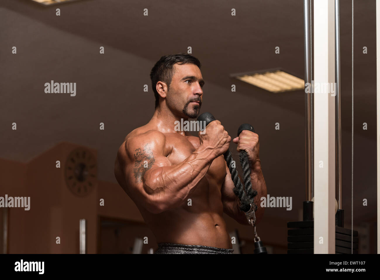Mexican Bodybuilder Doing Heavy Weight Exercise For Biceps Stock Photo ...