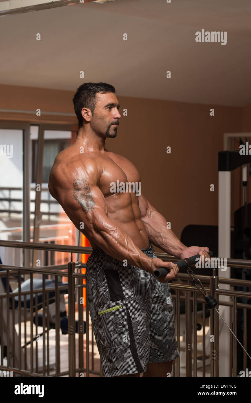 Mexican Bodybuilder Doing Heavy Weight Exercise For Biceps Stock Photo ...