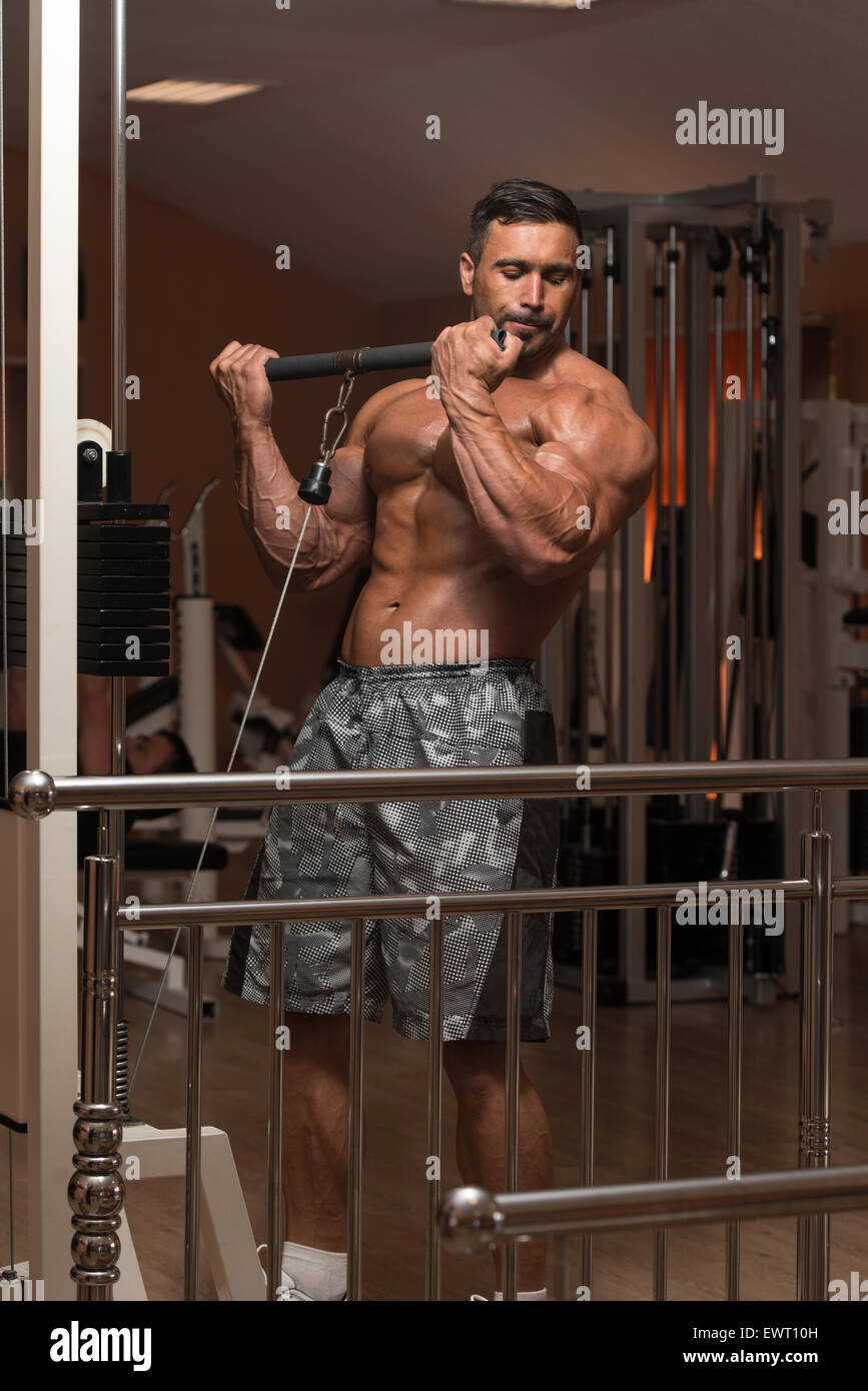 Mexican Bodybuilder Doing Heavy Weight Exercise For Biceps Stock Photo ...